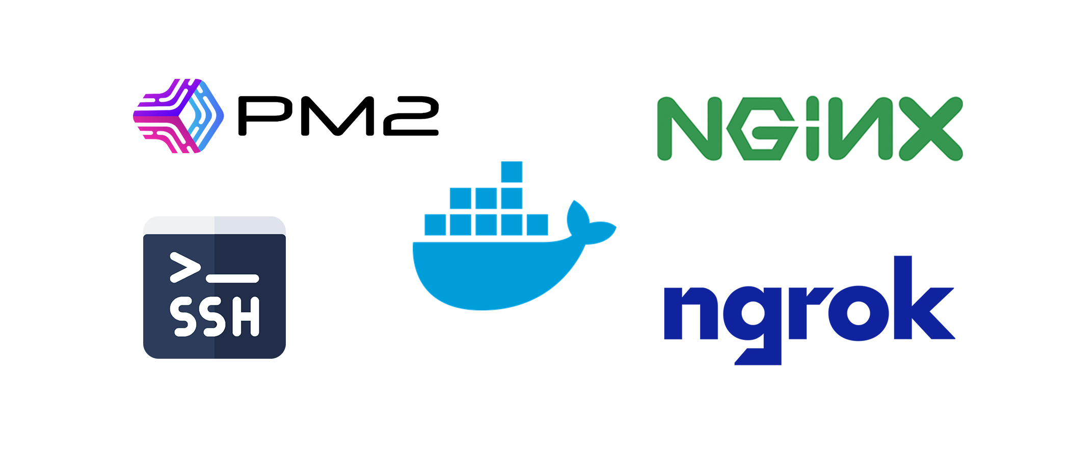 NGROK: Multiple Tunneling & Exposing Local VM into Public | nopedawn